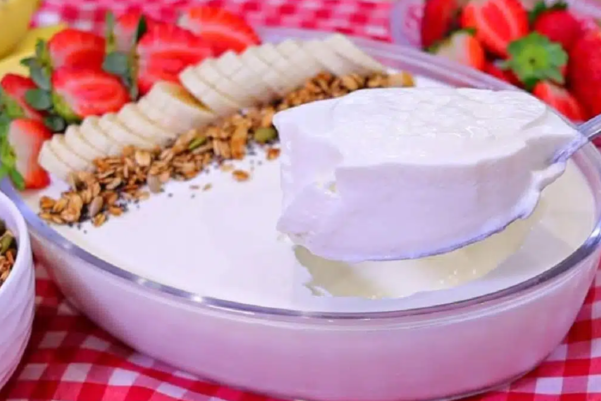 Iogurte natural sem açúcar caseiro com poucos ingredientes GASTRONOMIAS